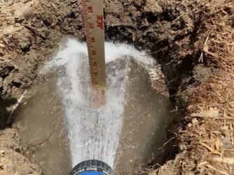 7 Reasons Pear Trees Won’t Fruit (& How to Fix It) – Couch to Homestead