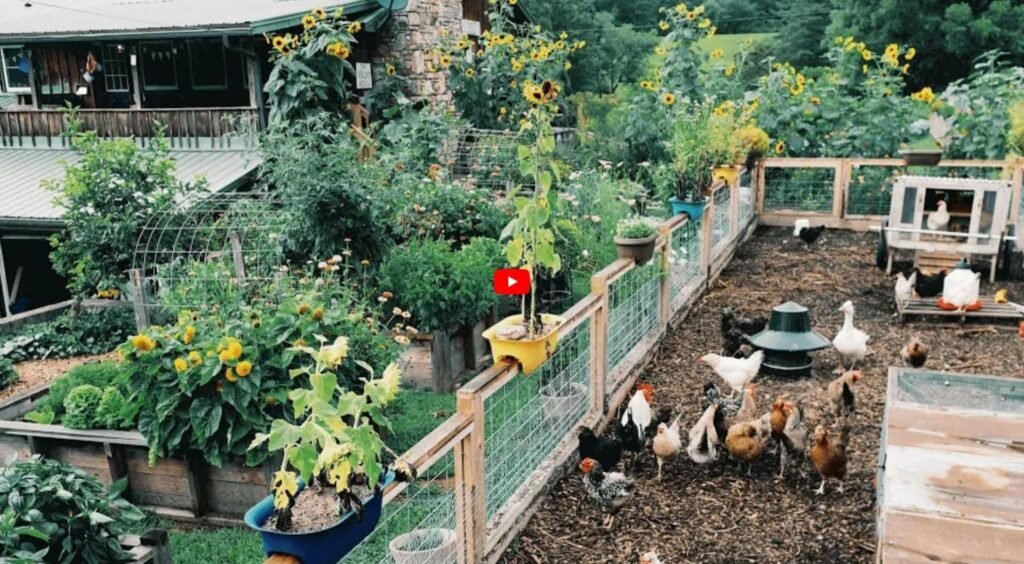 Couch to Homestead – Work Less. Grow More.